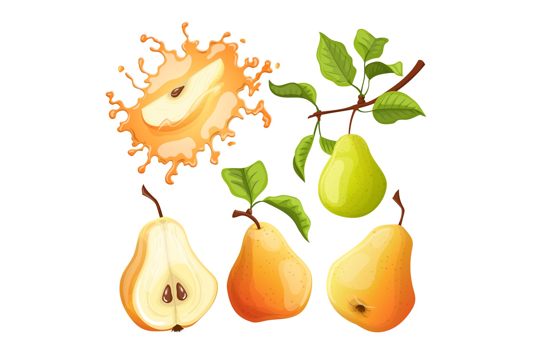 fruit pear set cartoon vector illustration (2228873) | Icons | Design ...