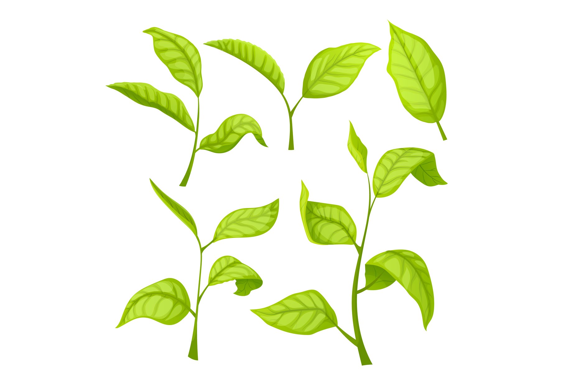 tea green leaf set cartoon vector illustration (2229048) | Icons ...