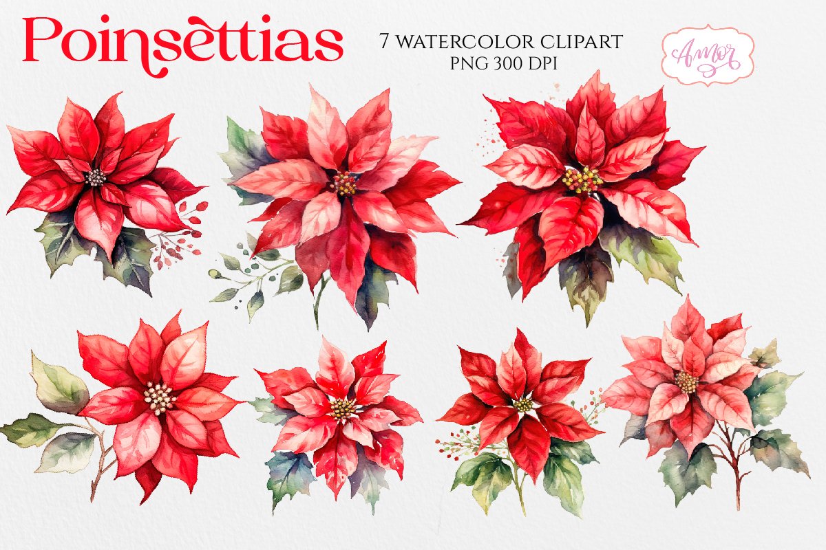 Clipart De Poinsettia Gratuit Poinsettia Vector Art, Icons, And
