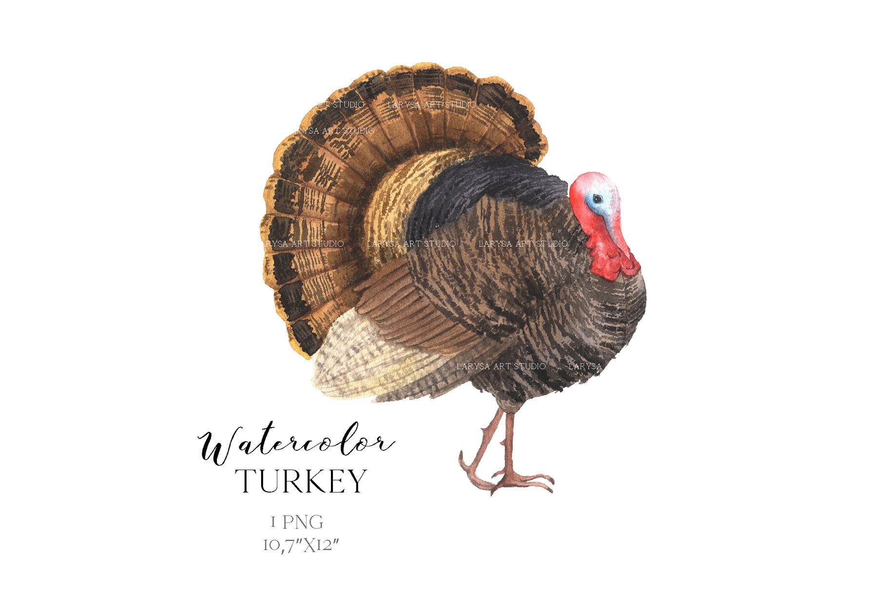 Wild Turkeys Clipart