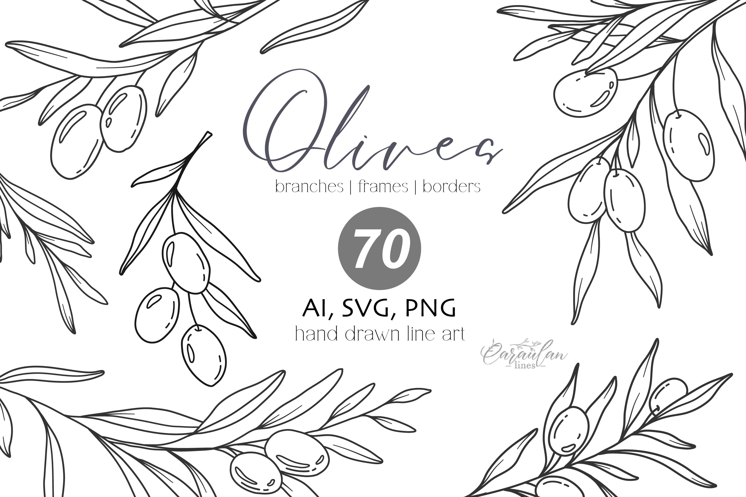 Olive Branch Photoshop Illustrator