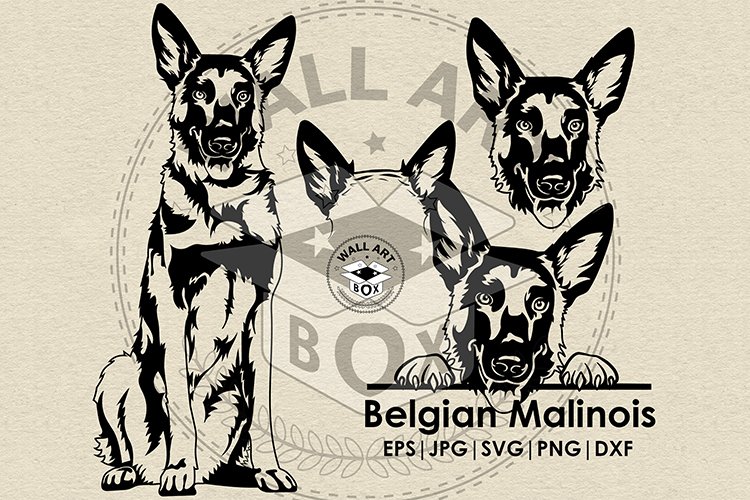 Belgian Malinois Tattoos