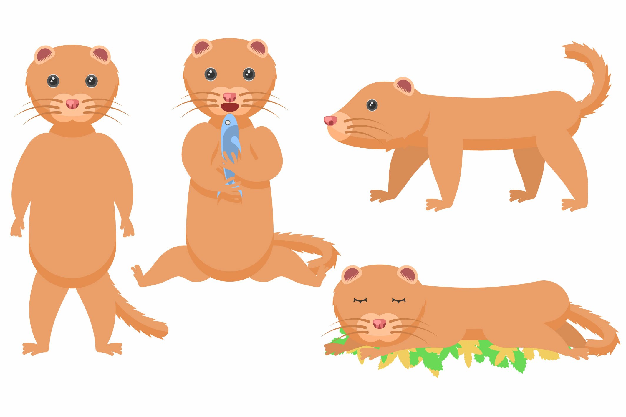 Set Collection Flat Animal Different Mink Concept Vector (1781580 ...