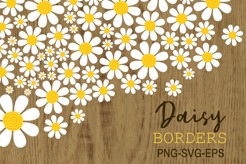 Daisy Border