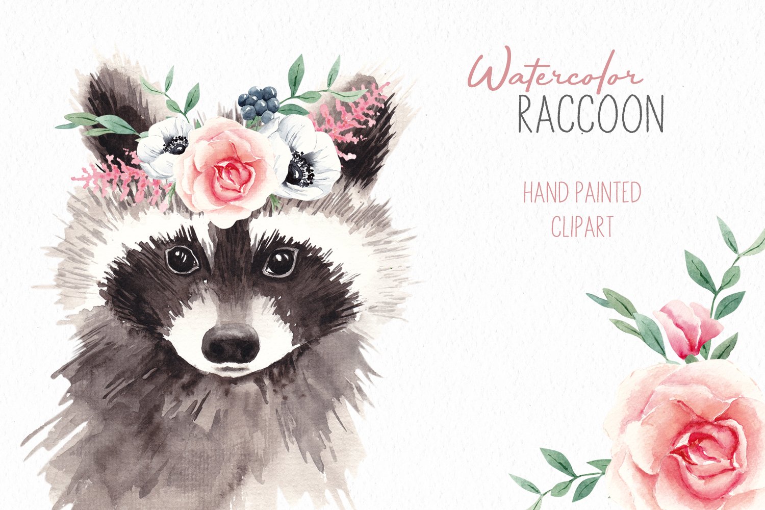 Watercolor Raccoon Clipart (1842423) | Illustrations | Design Bundles