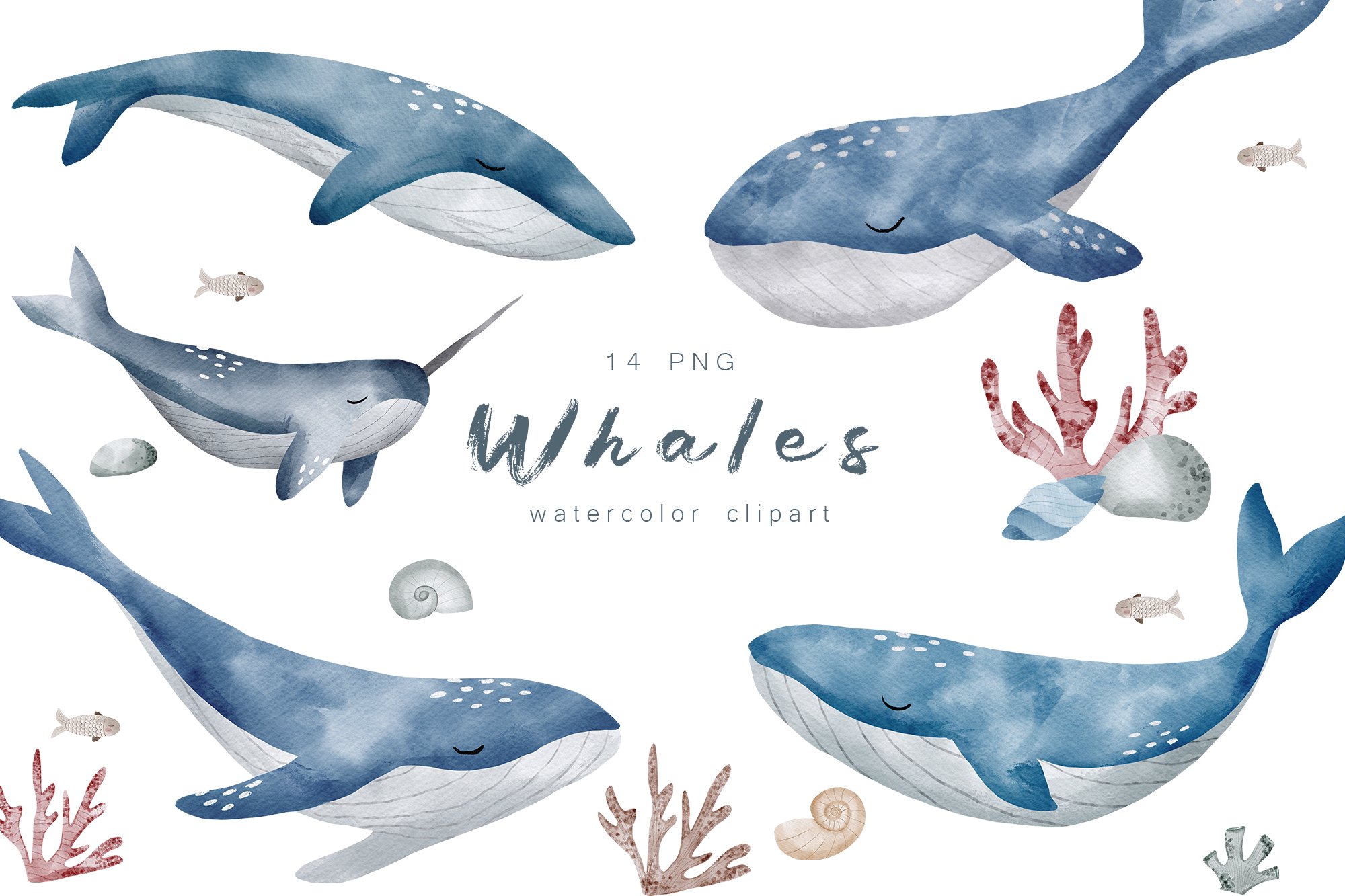 Watercolor whales clipart PNG, Sea clipart, Ocean clipart (1772210 ...