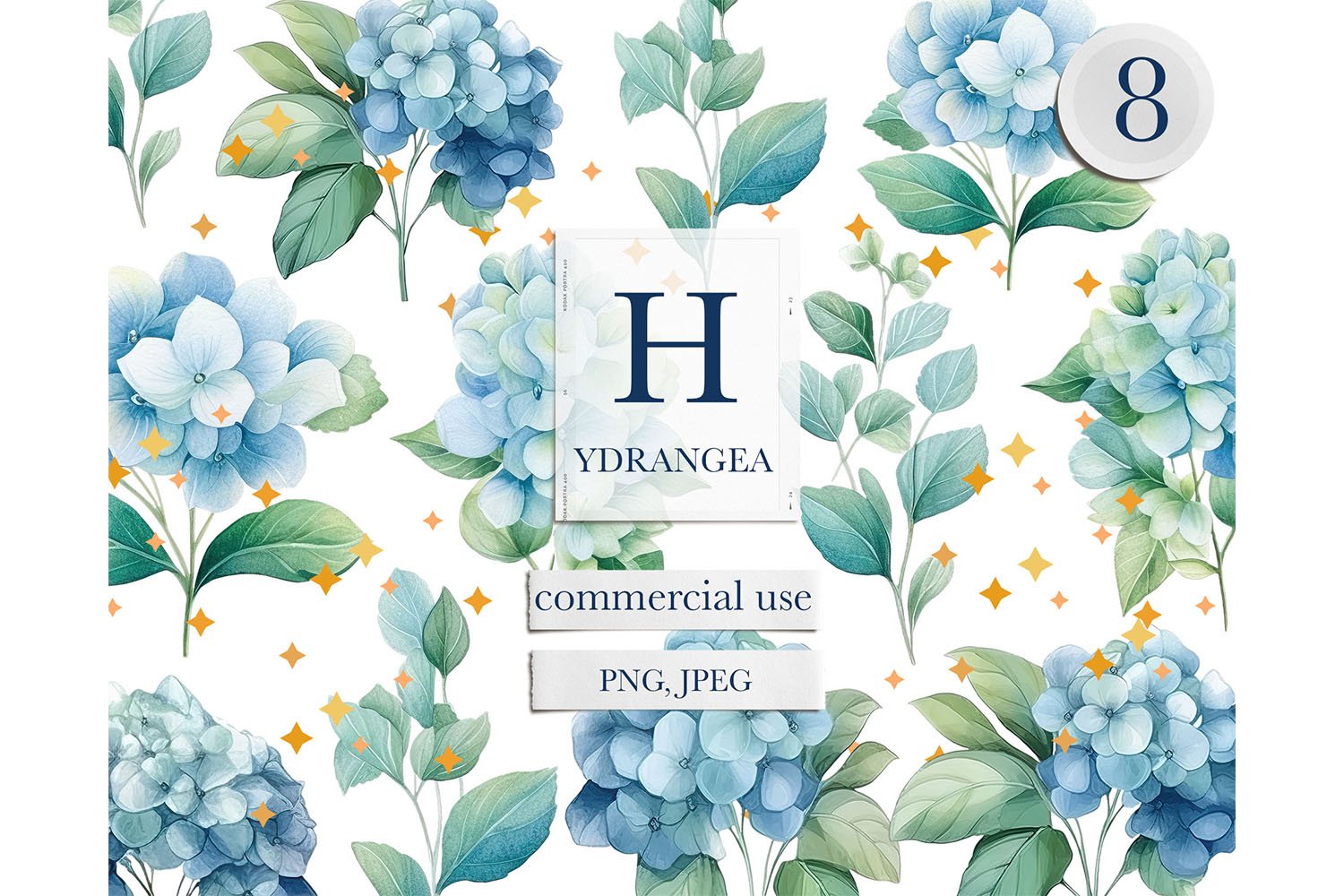 Hydrangea Clipart Borders