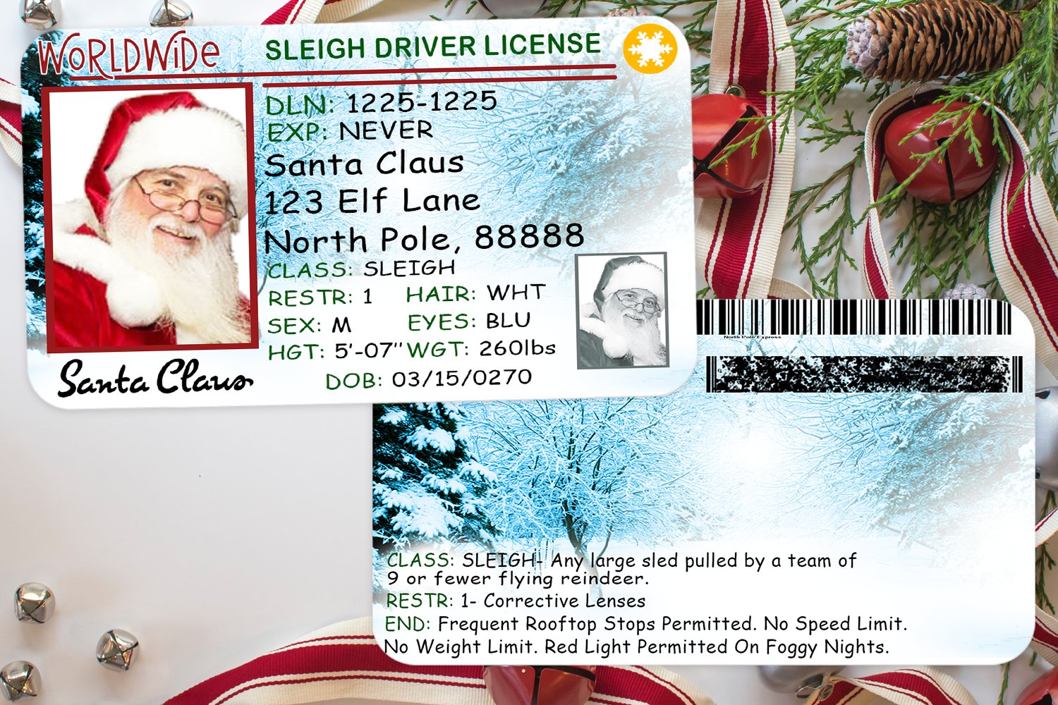 Printable Santa Driving Licence Template