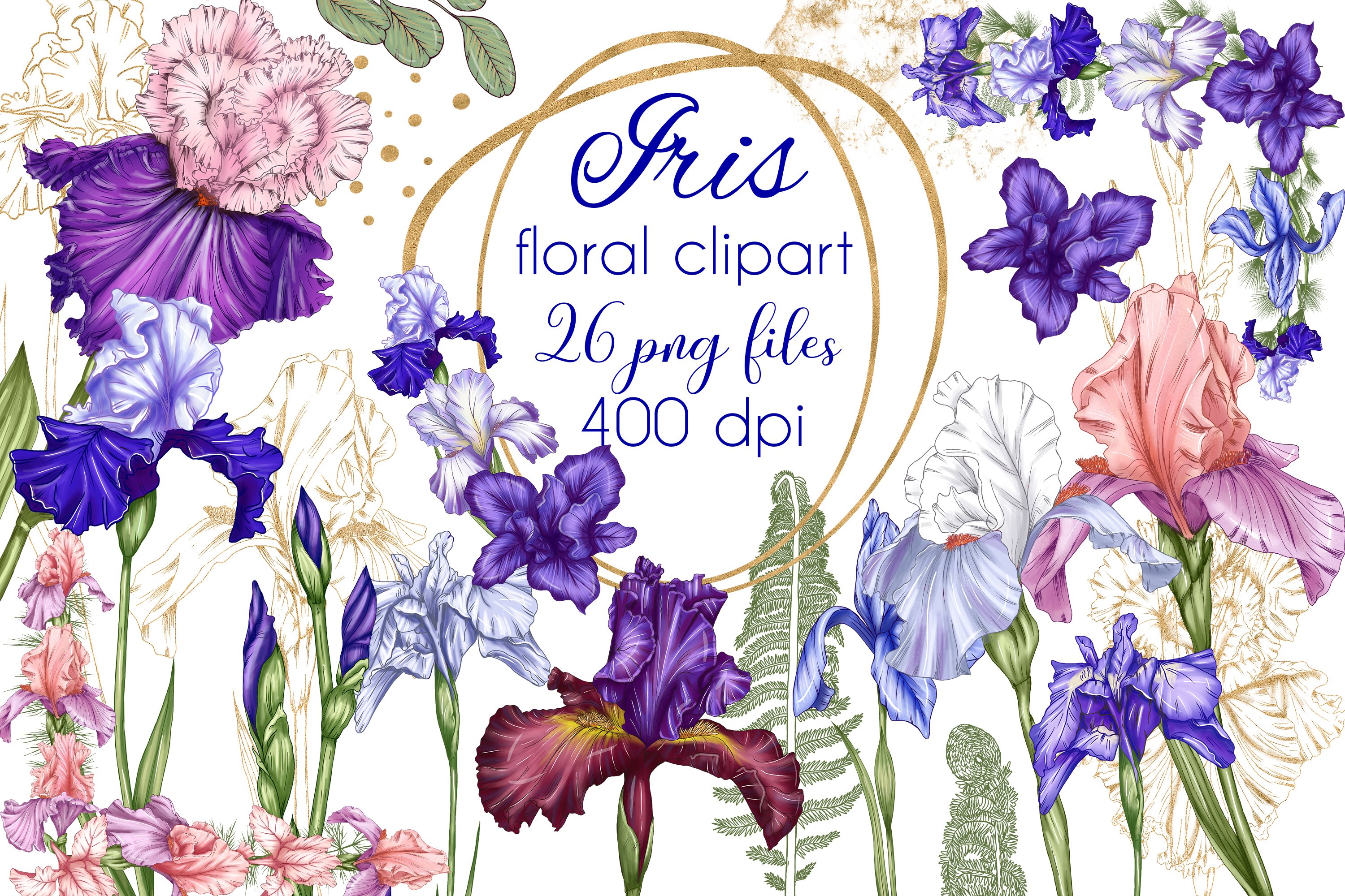 Iris Flower Clipart