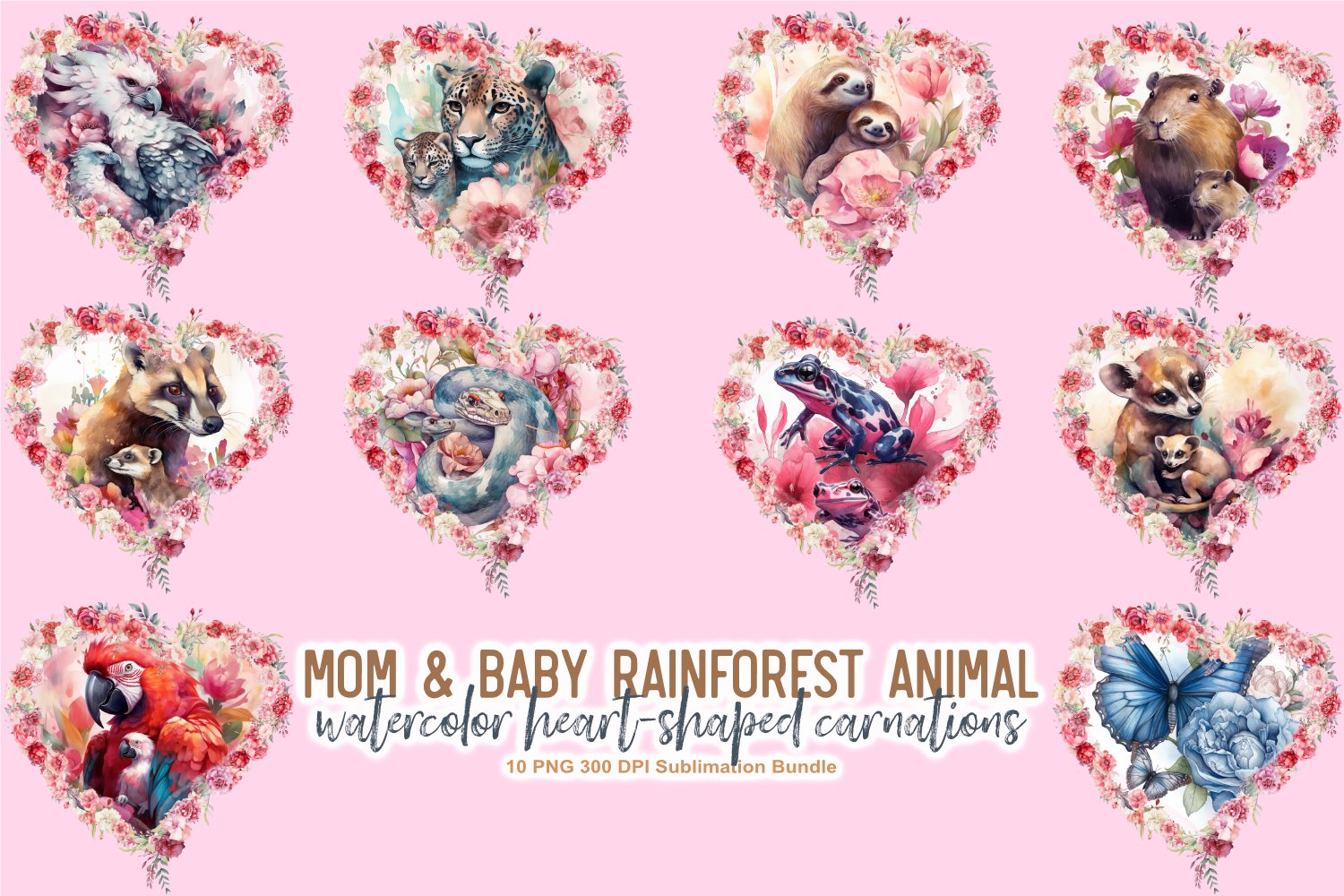 Baby Rainforest Animals