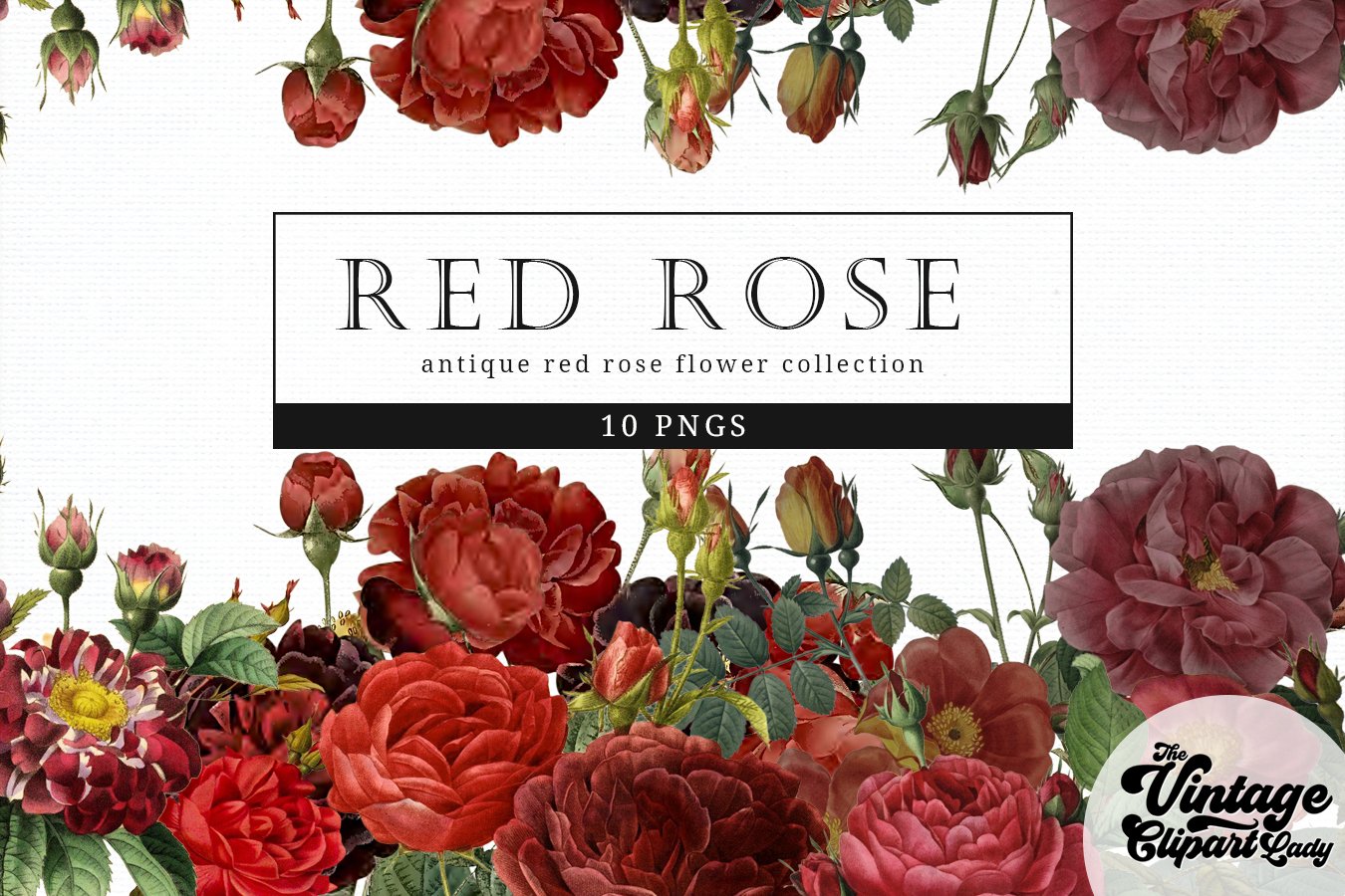 Vintage Red Rose Clip Art