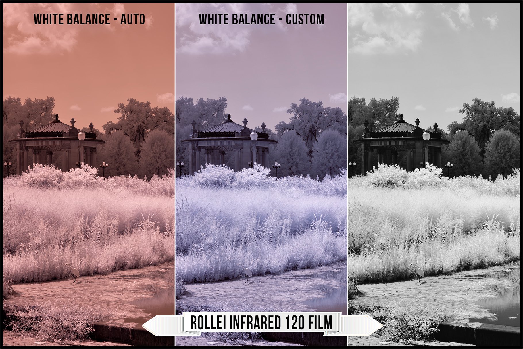 Infrared 120 Film
