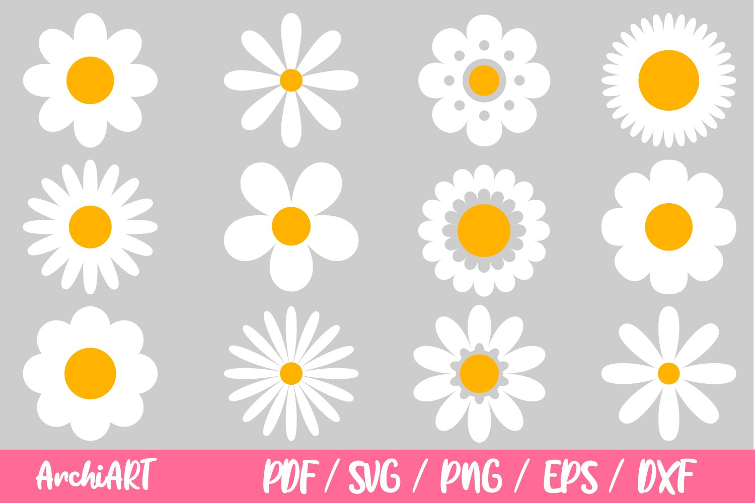 Life Cycle Of Daisy Flower Vector Gratis Ai Svg Y Eps Pgina 6