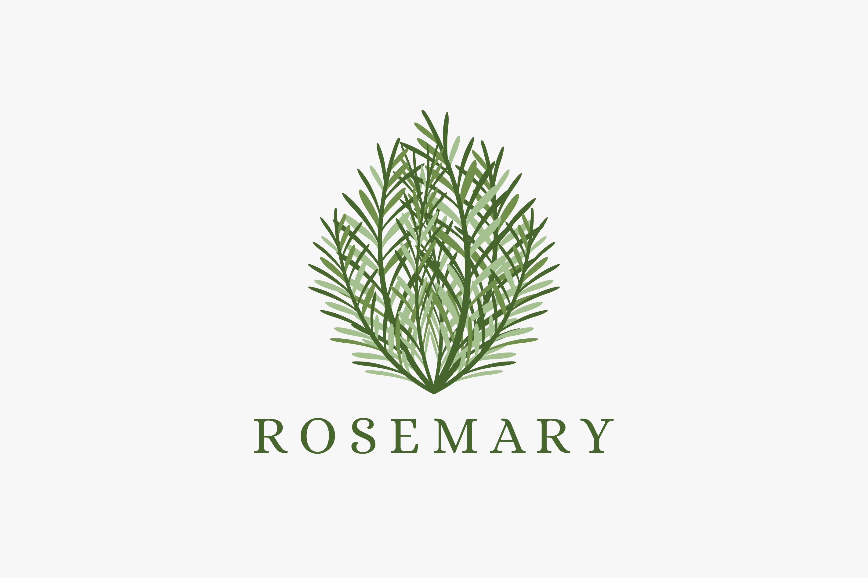 Rosemary Logo Rosemary Icon Stock Illustrations – 19,006 Rosemary