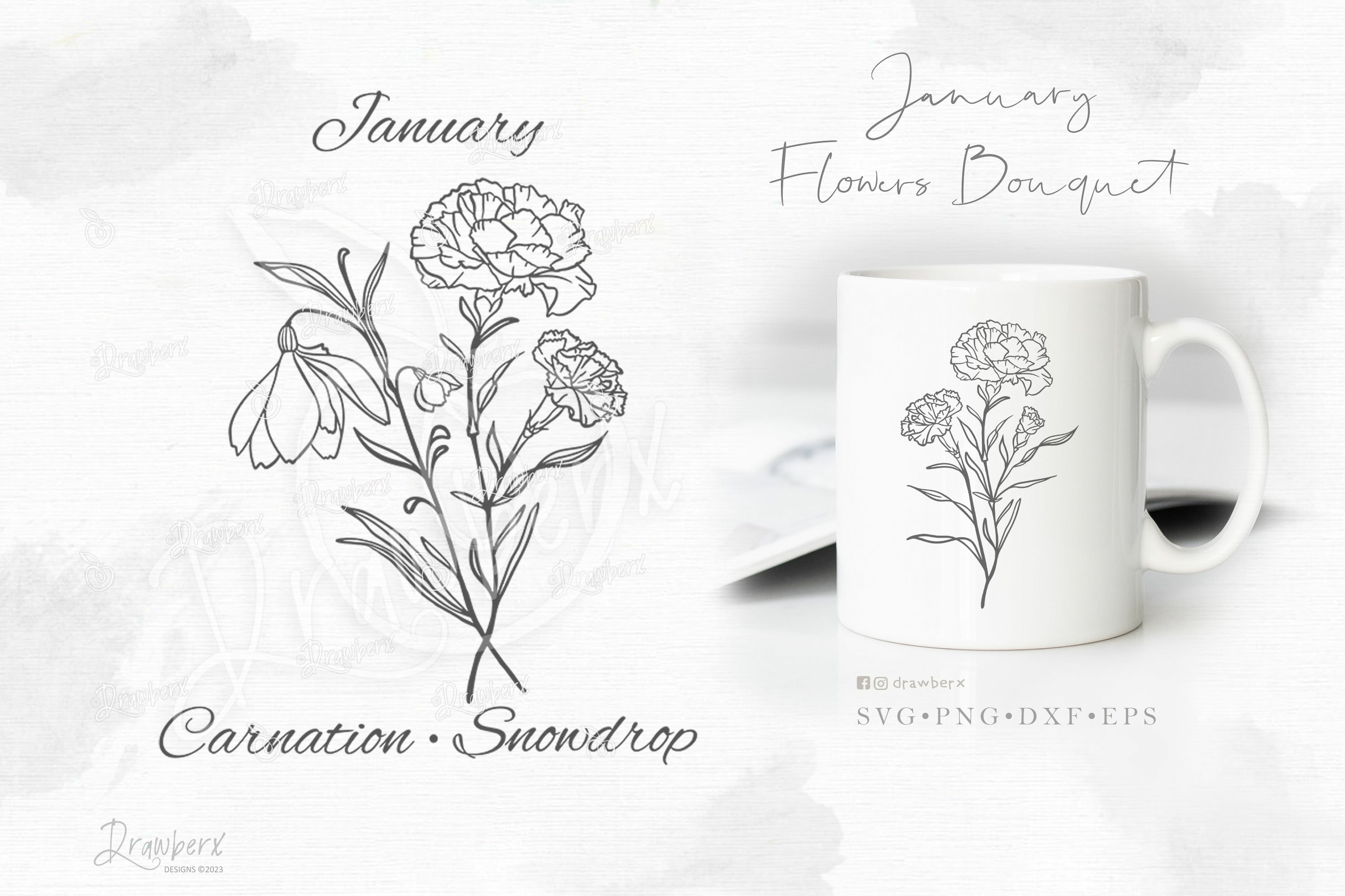 January Birth Flower Carnation