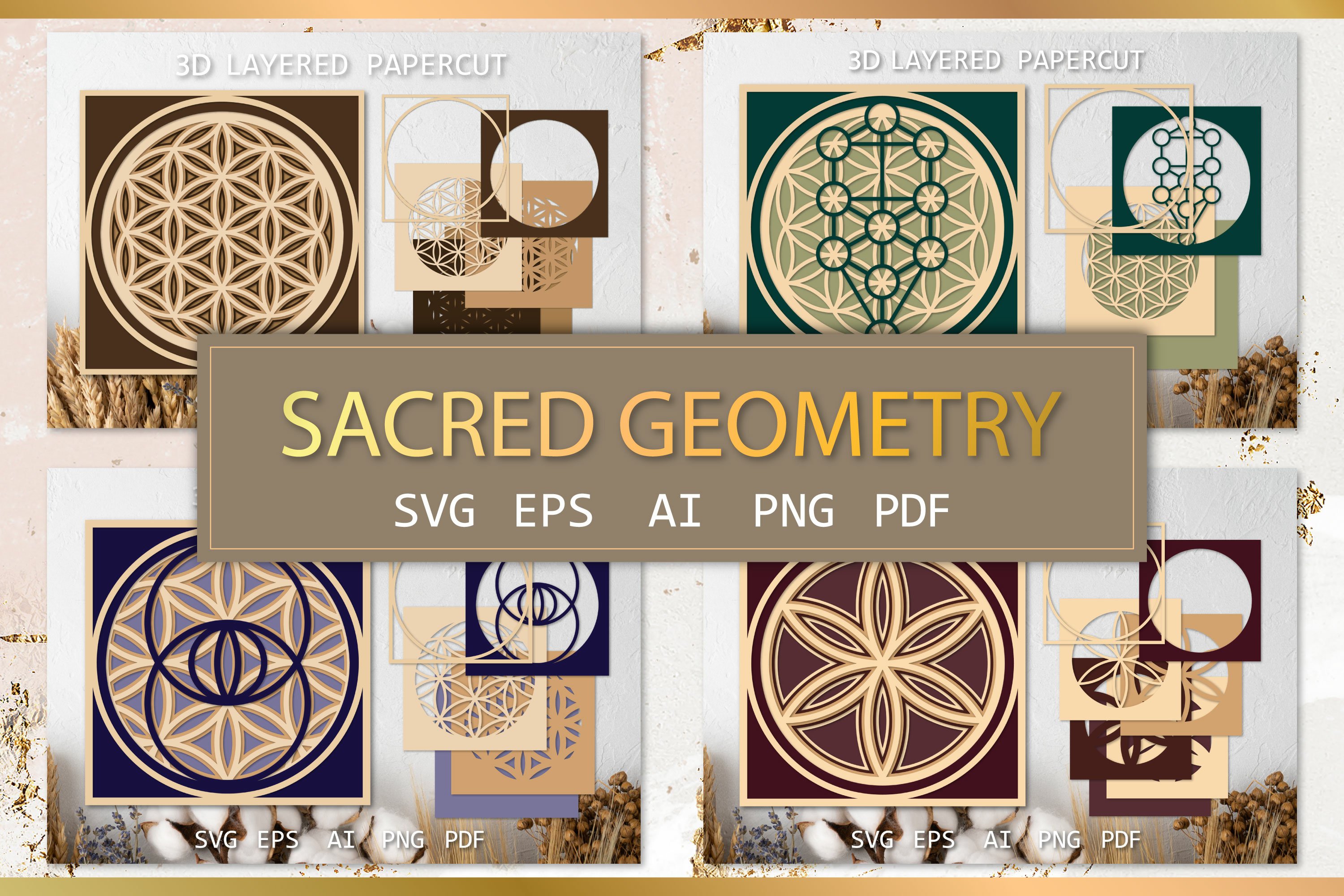 Understanding Sacred Geometry And The Flower Of Life Pdf | Best Flower Site