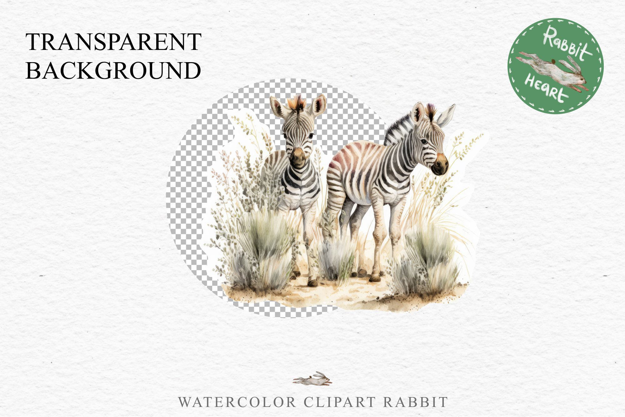 Zebra Print Baby Clipart