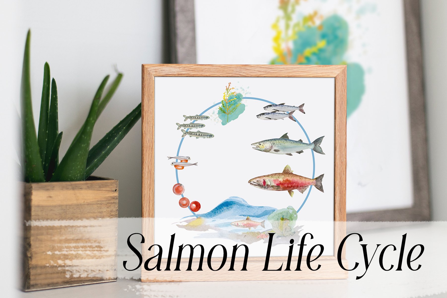 Salmon Fish Clip Art