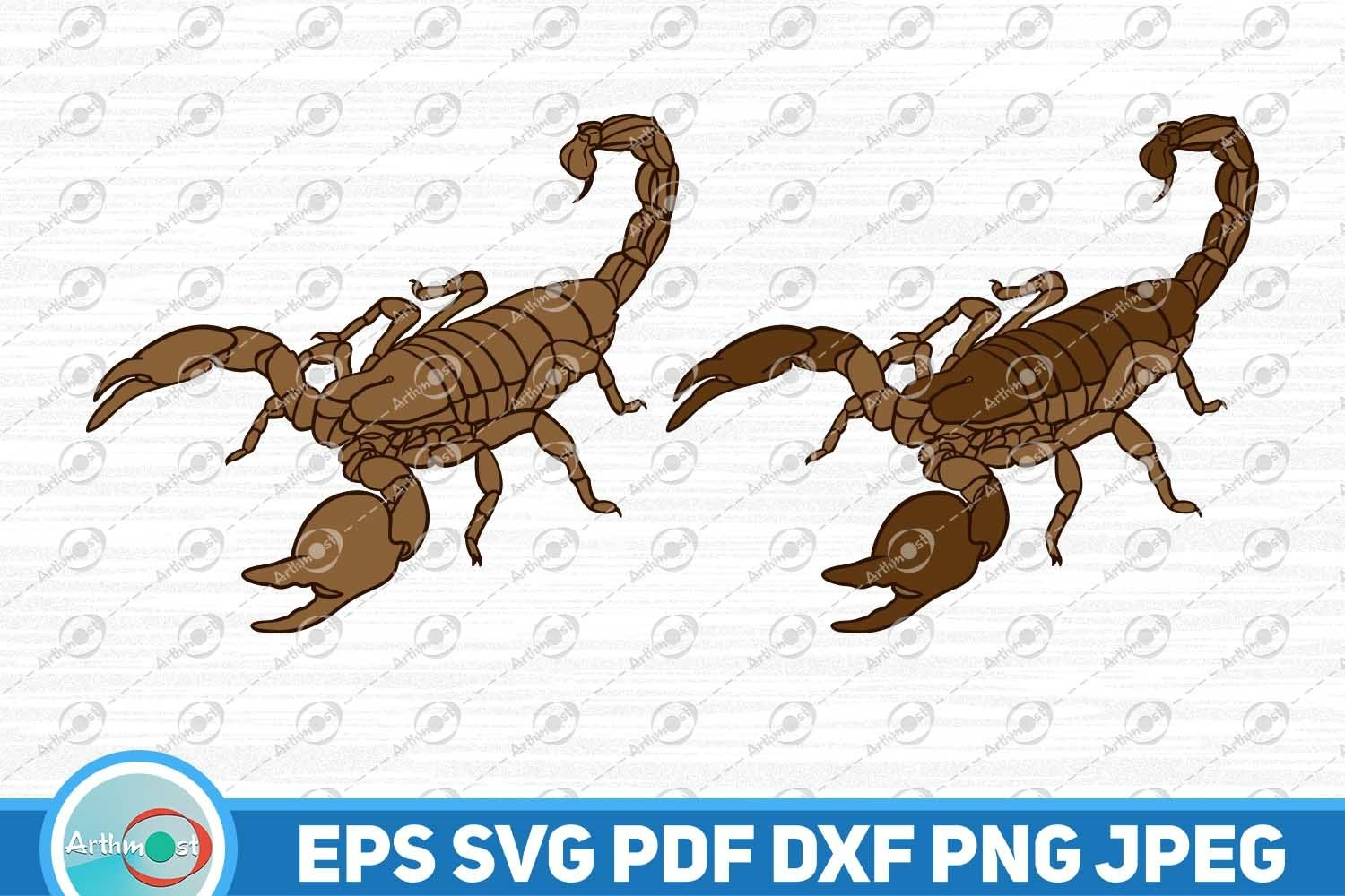 scorpion vector file