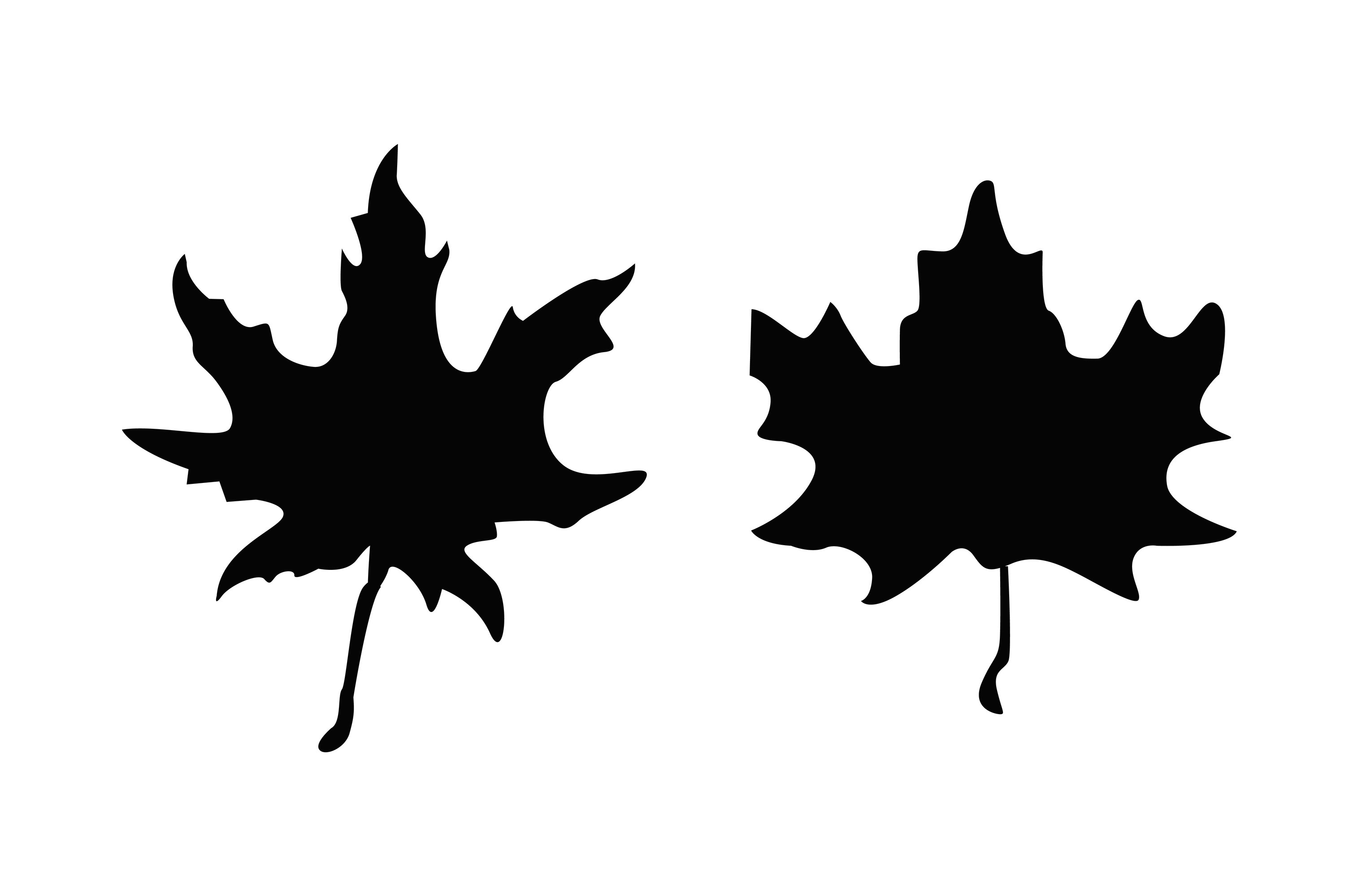 Black Maple Leaf