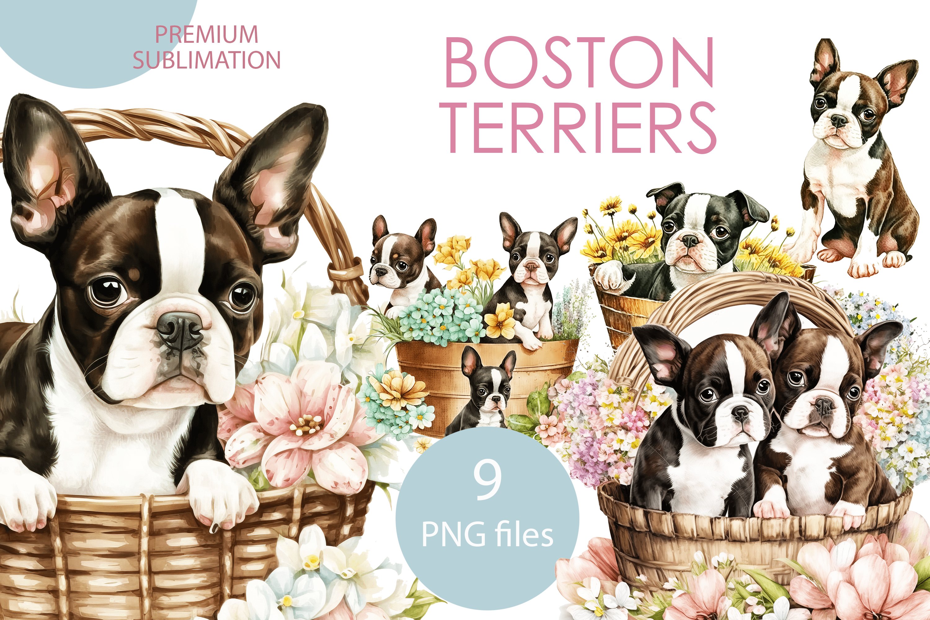 Boston Terrier Clip Art