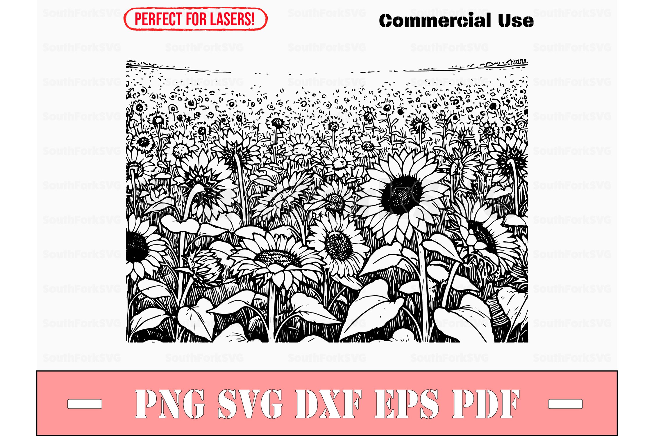Sunflower Field Coloring Page Amazon.com: Sunflower Coloring Book: