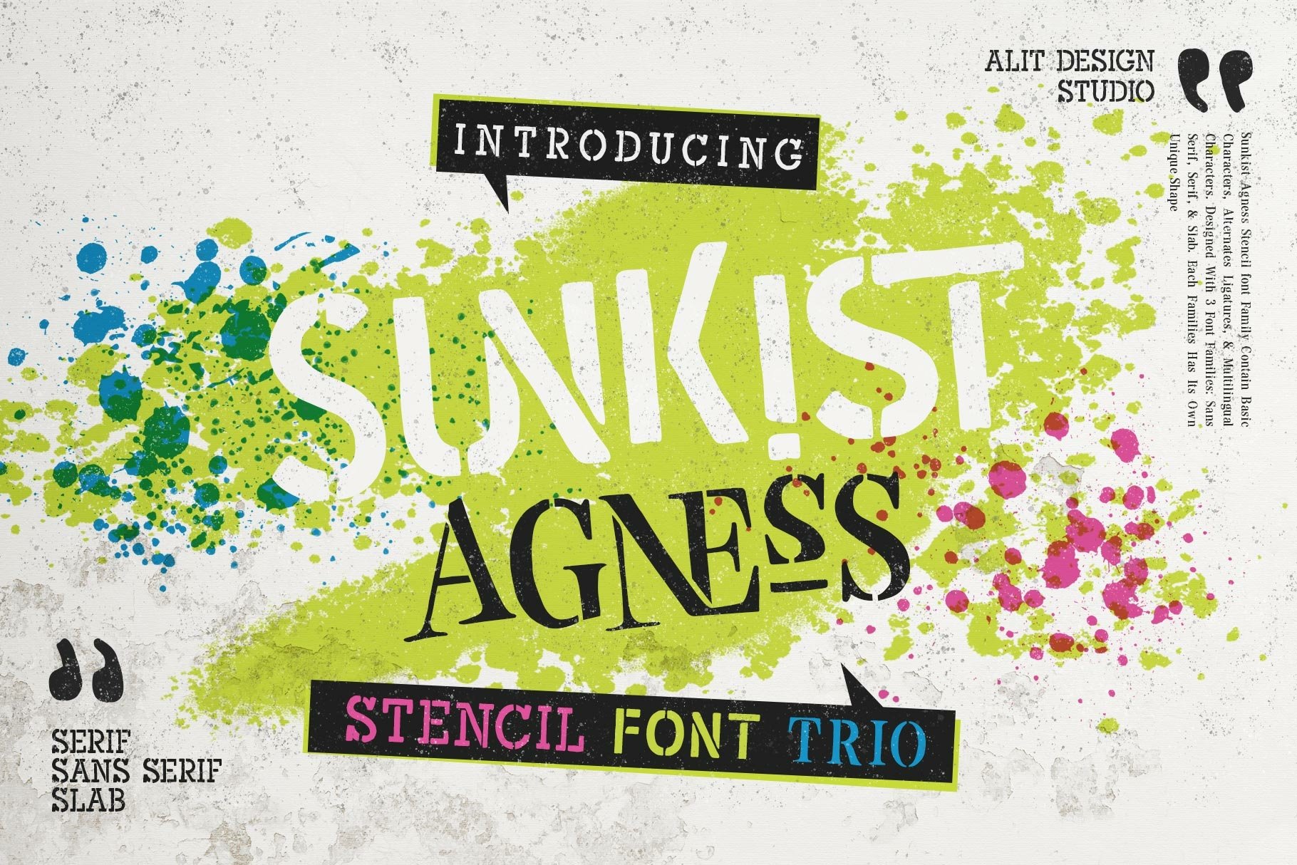 Sunkist Agness Typeface (1982350) | Duo and Trios | Font Bundles