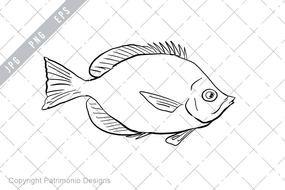 Butterfly Fish Drawing