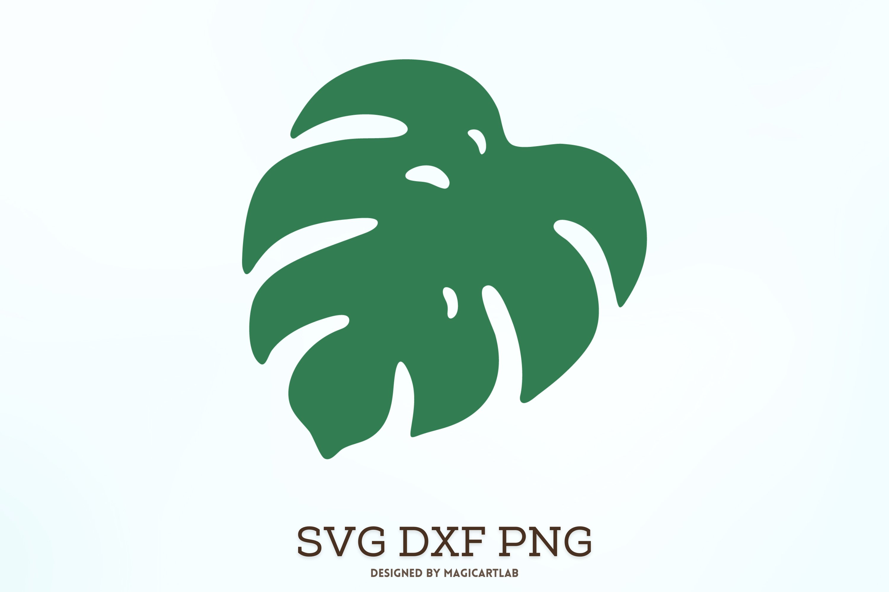 Jungle Leaf Svg