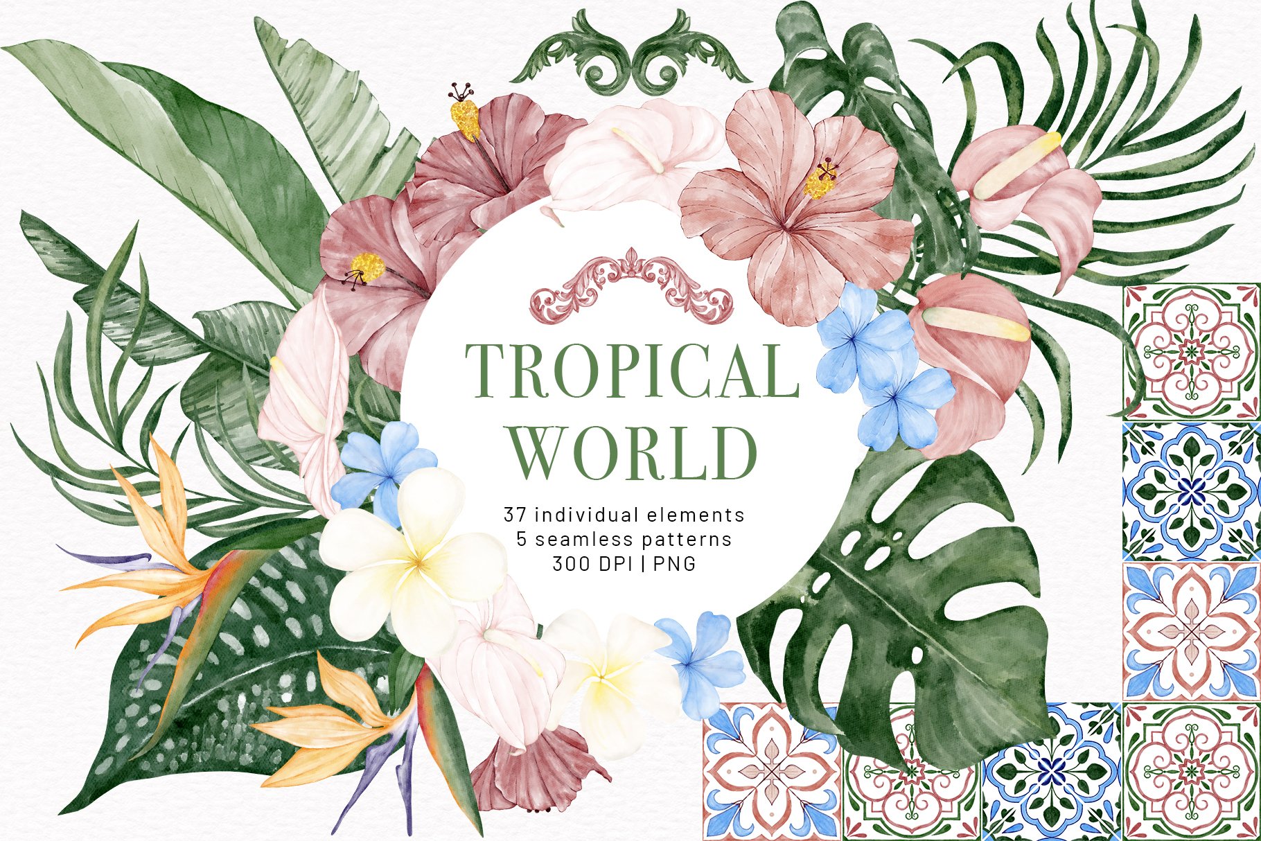 Tropical Floral Patterns