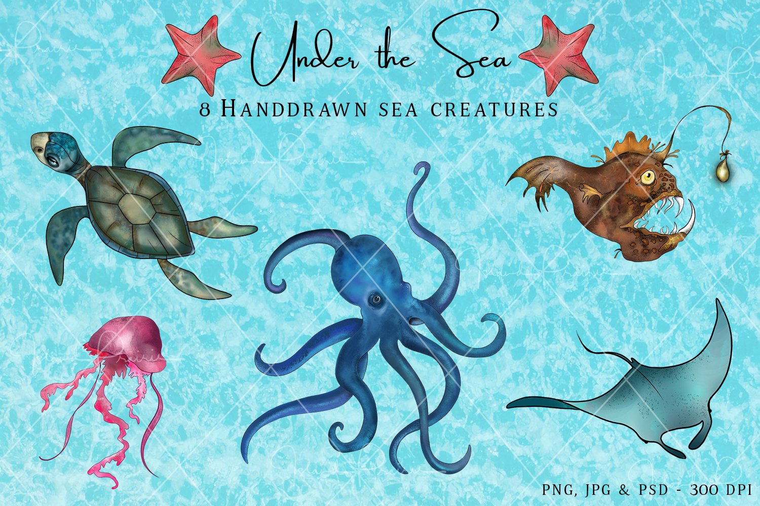 Under The Sea Creatures Clipart