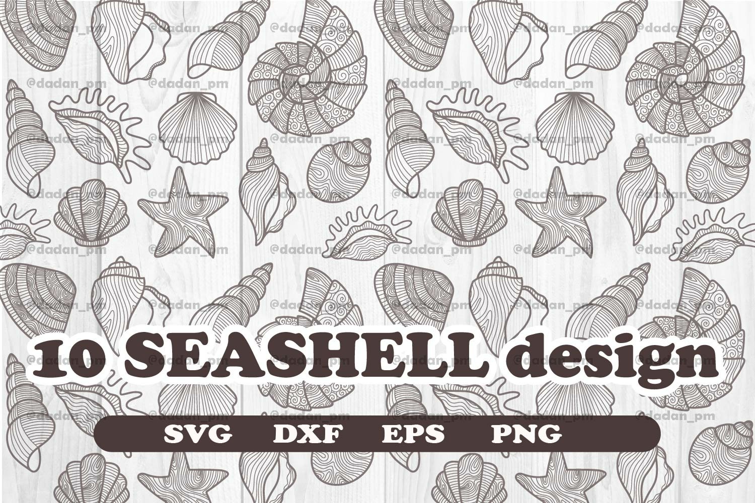 Seashell Design
