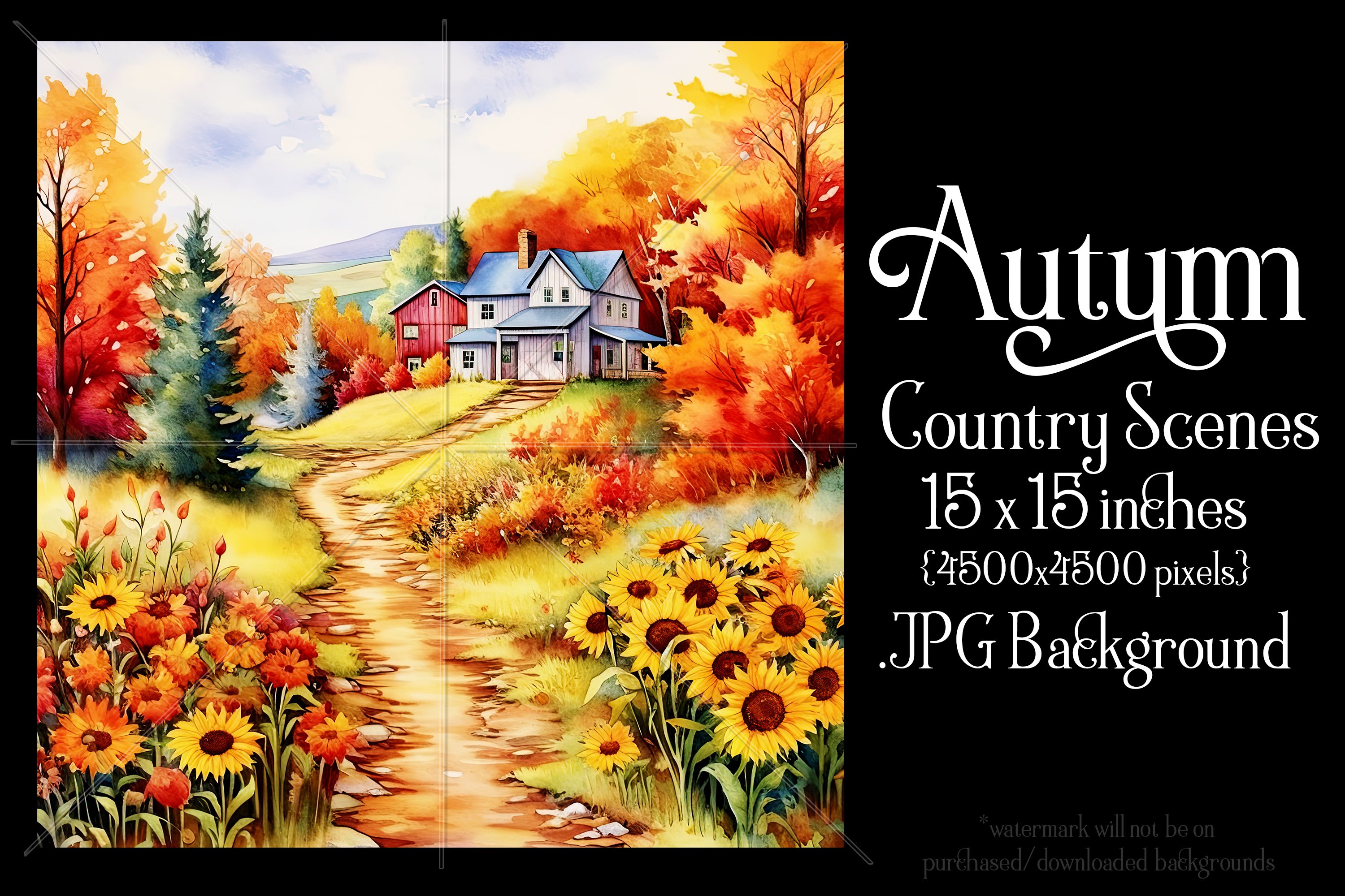 Beautiful Fall Country Scenery