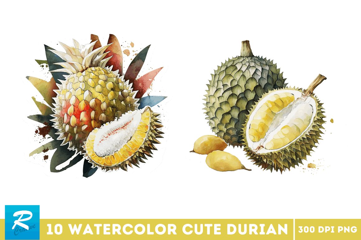 Durian Clipart