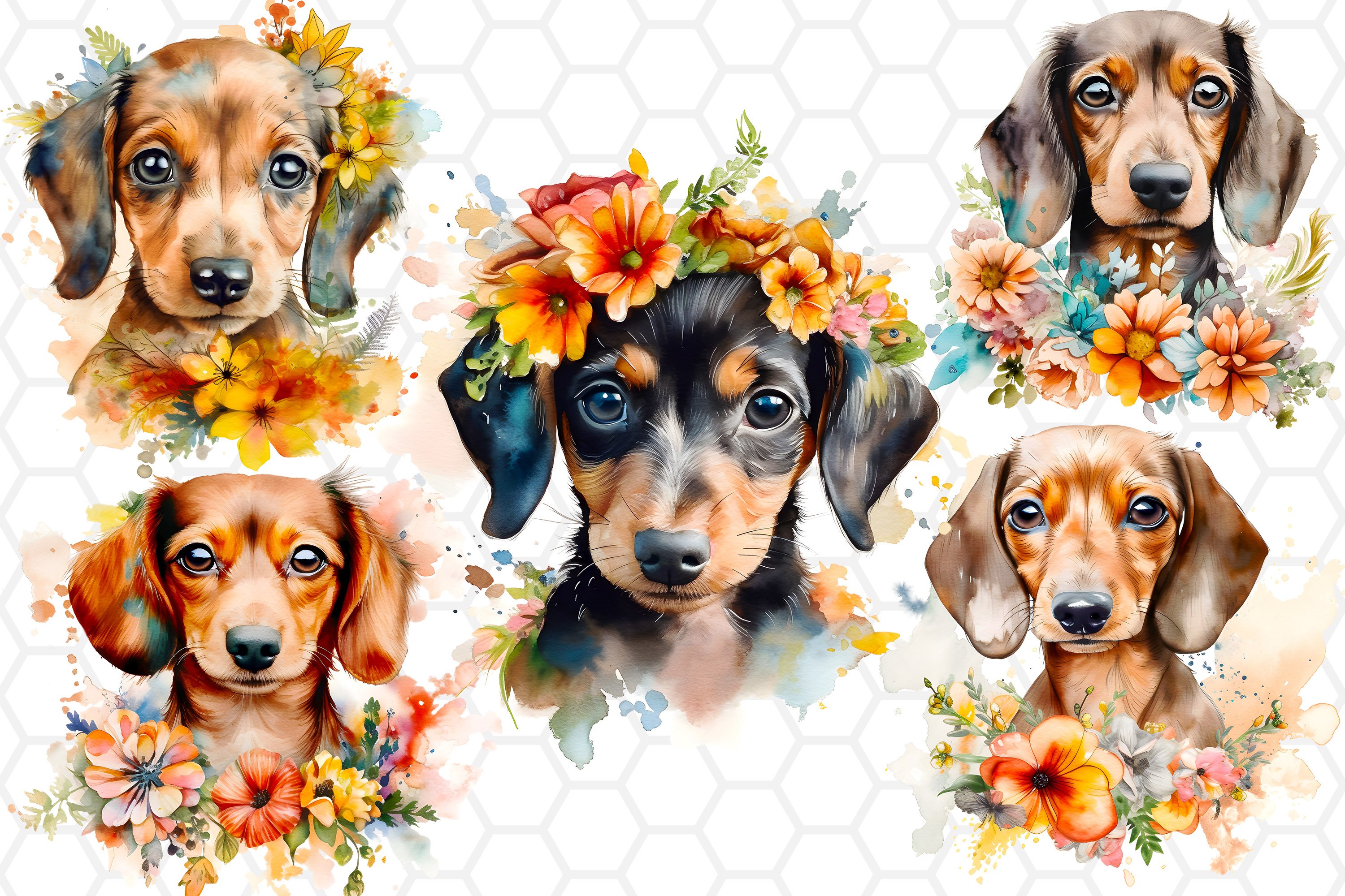 Dachshund Clipart