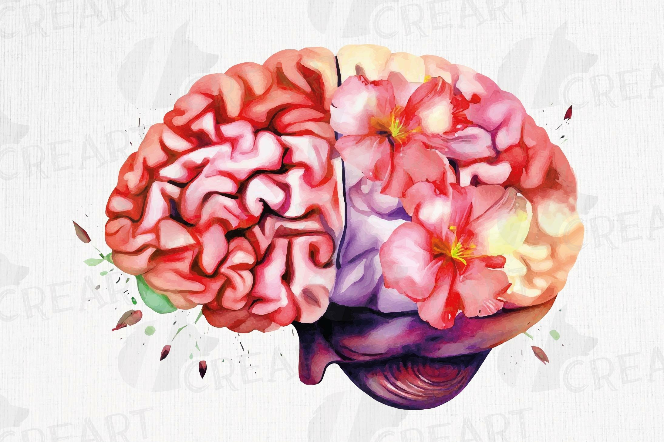Anatomical Brain And Flowers
