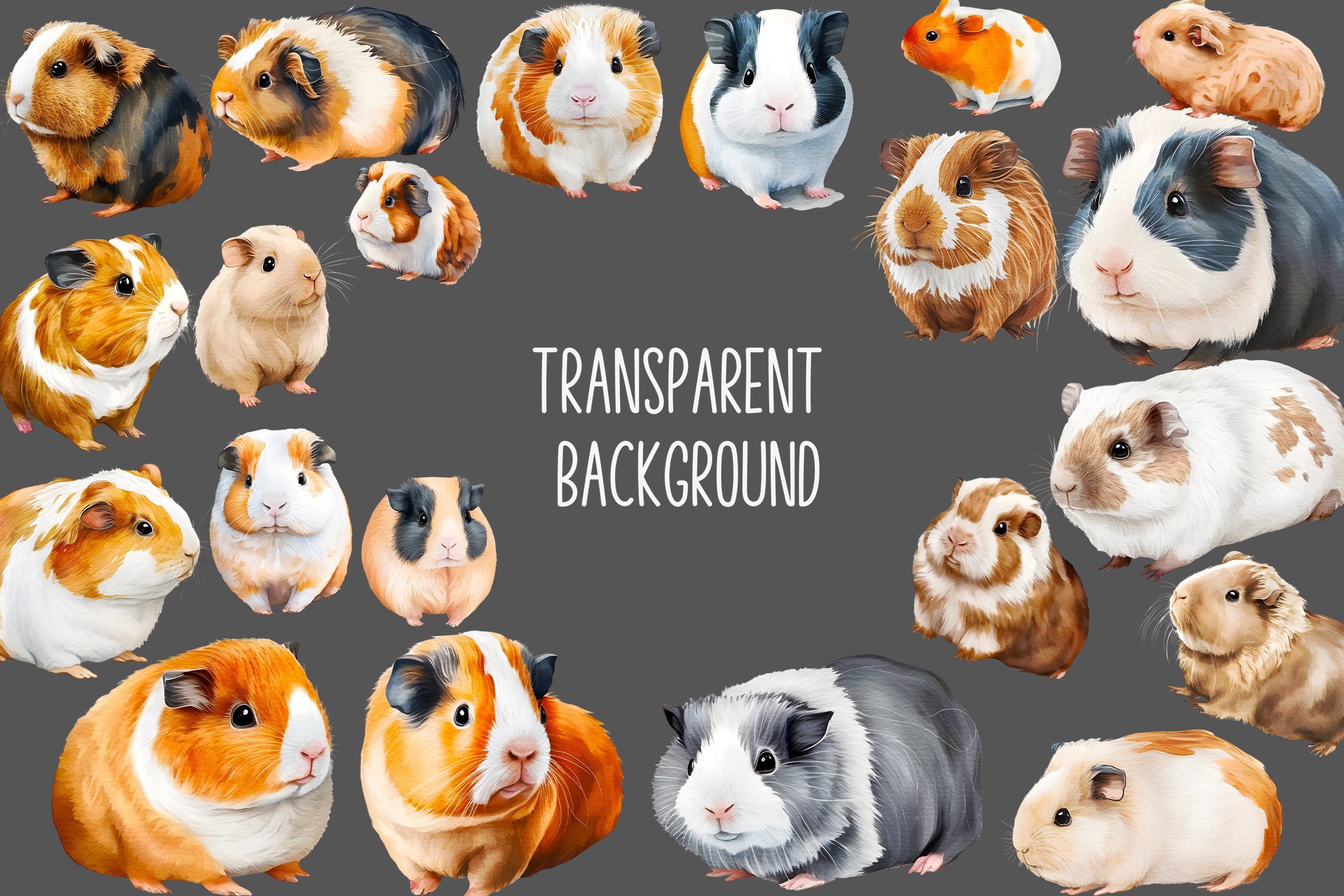 Skinny Pig Clip Art