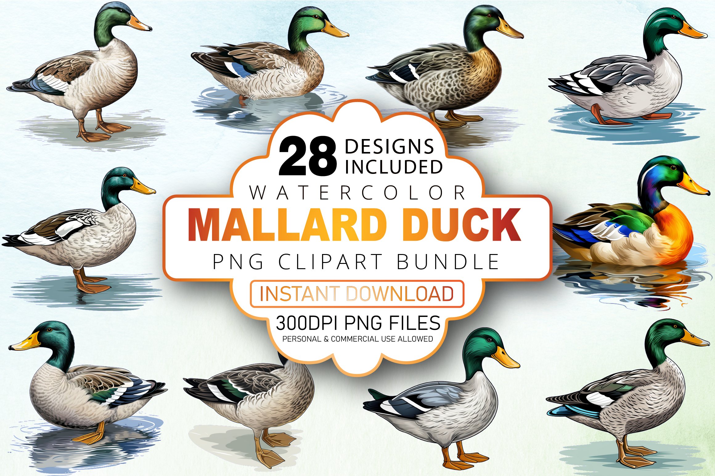 Mallard Duck Clip Art