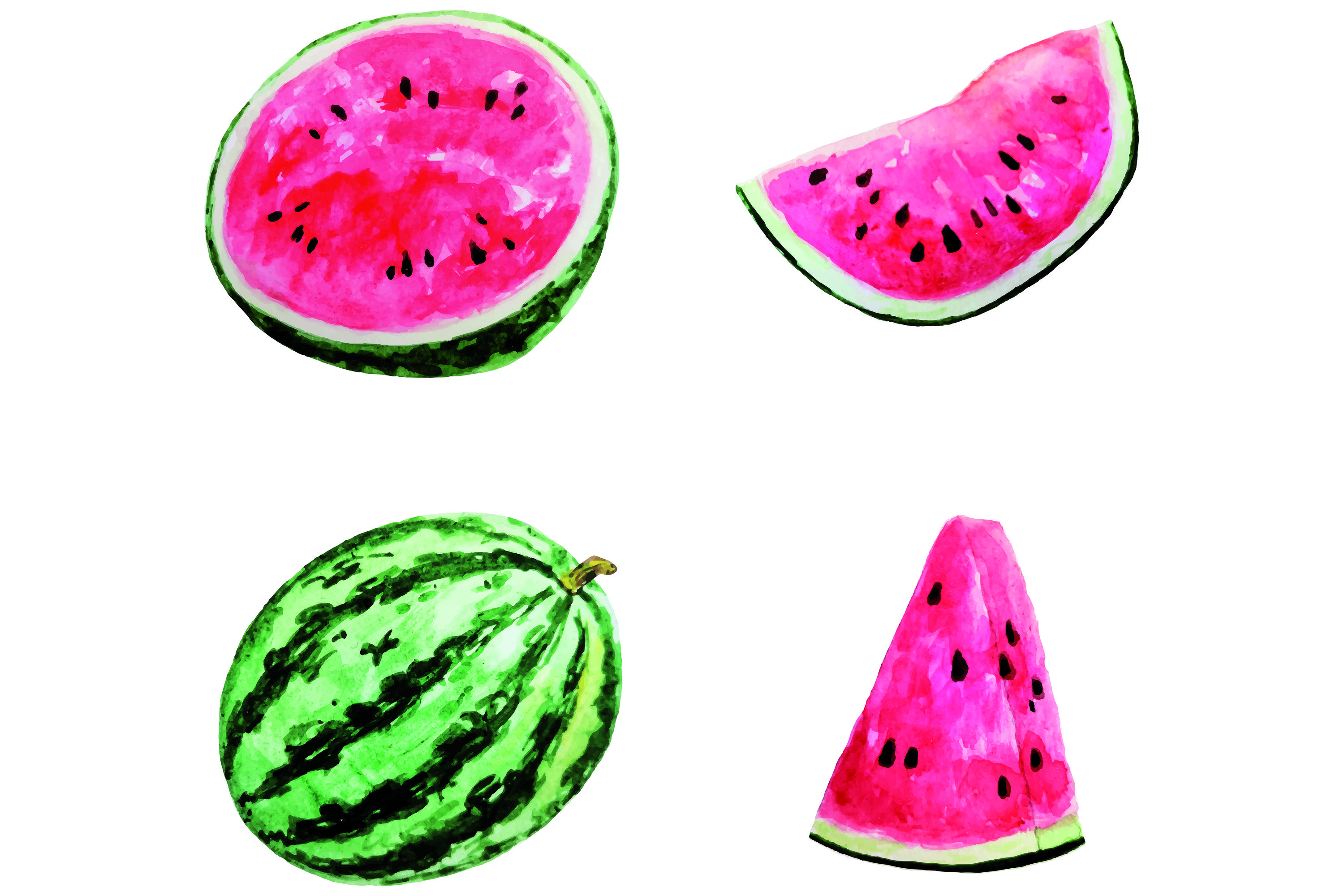 Delicious red watermelon. Set of watermelons. Watercolor art (2282097 ...