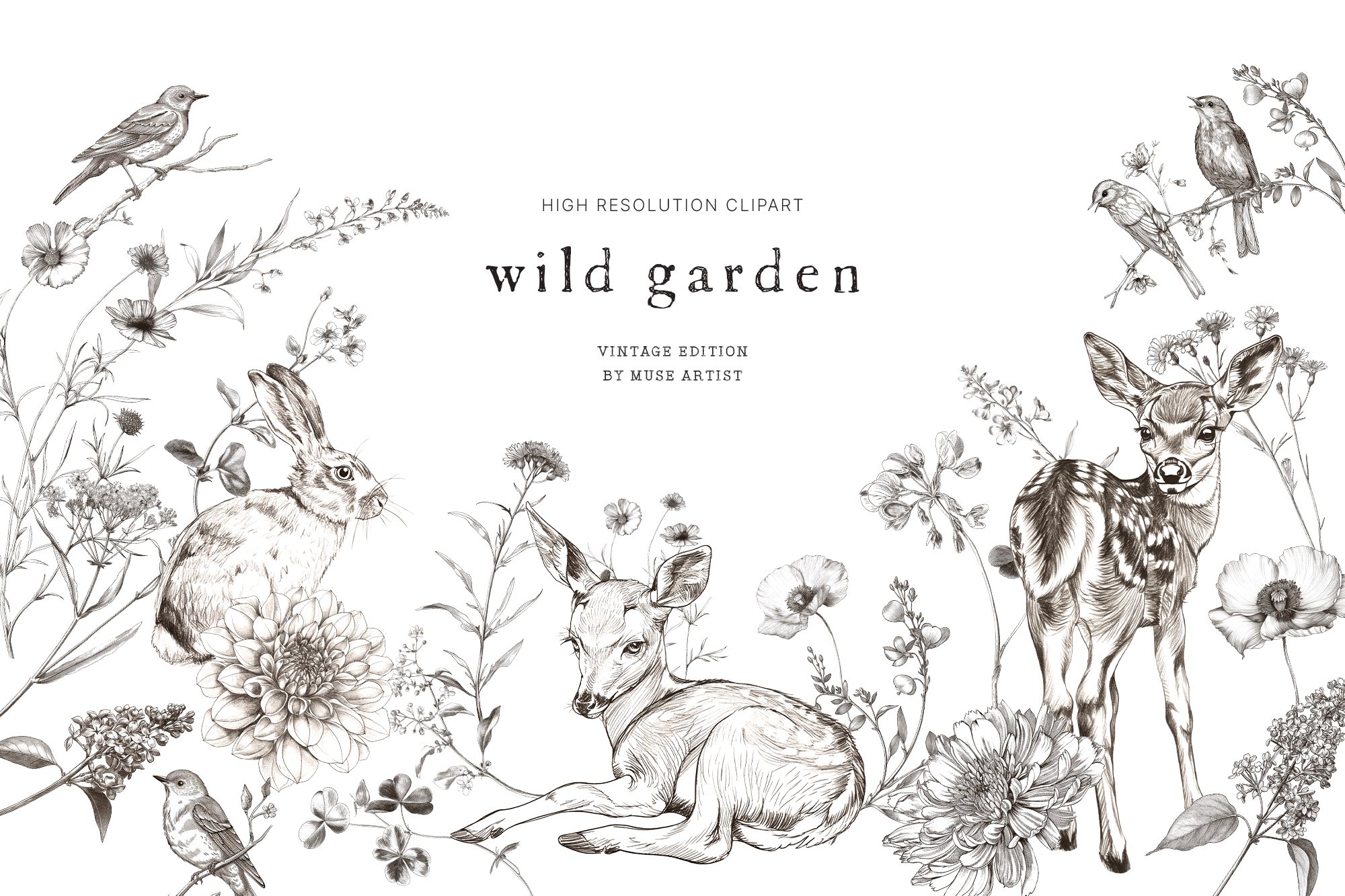Garden Animals Pictures Drawing