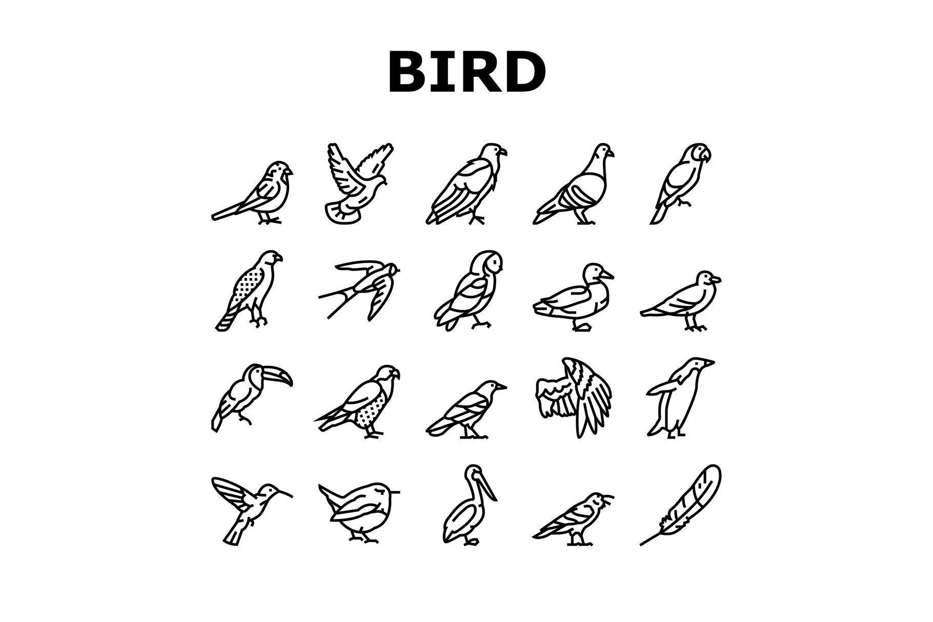 Bird Flying Animal With Feather Icons Set Vector (2231723) | Icons ...