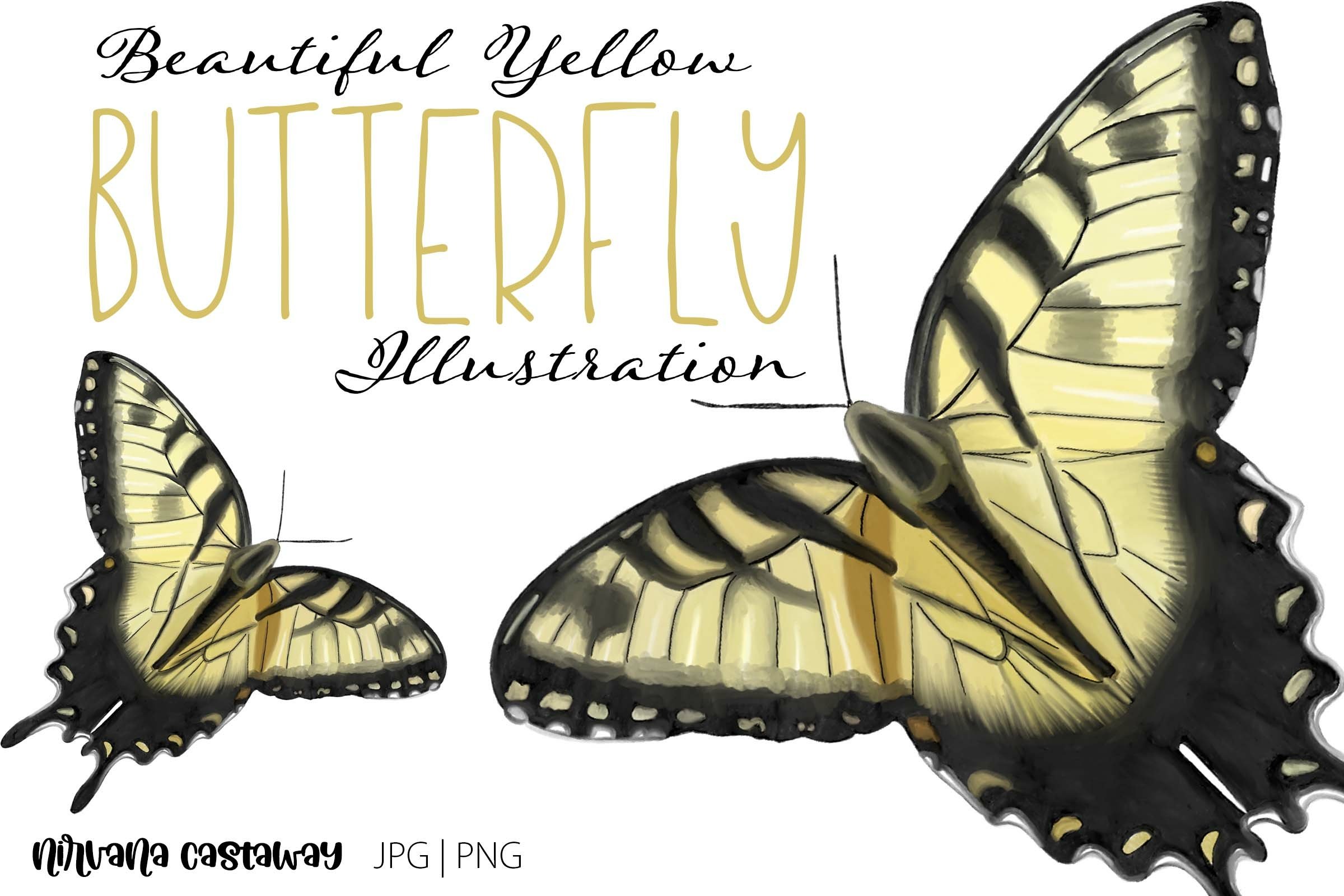 Beautiful Yellow Butterfly Pictures