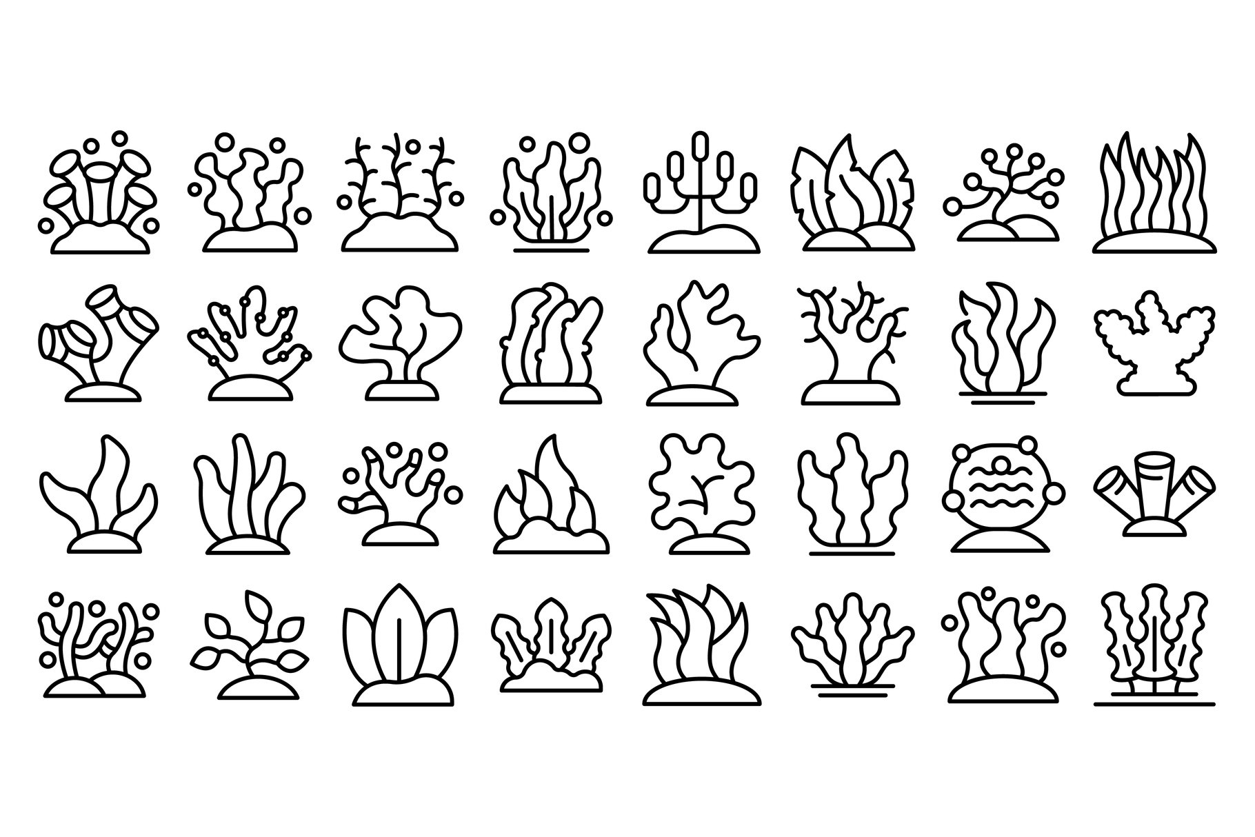 Simple Algae Drawing