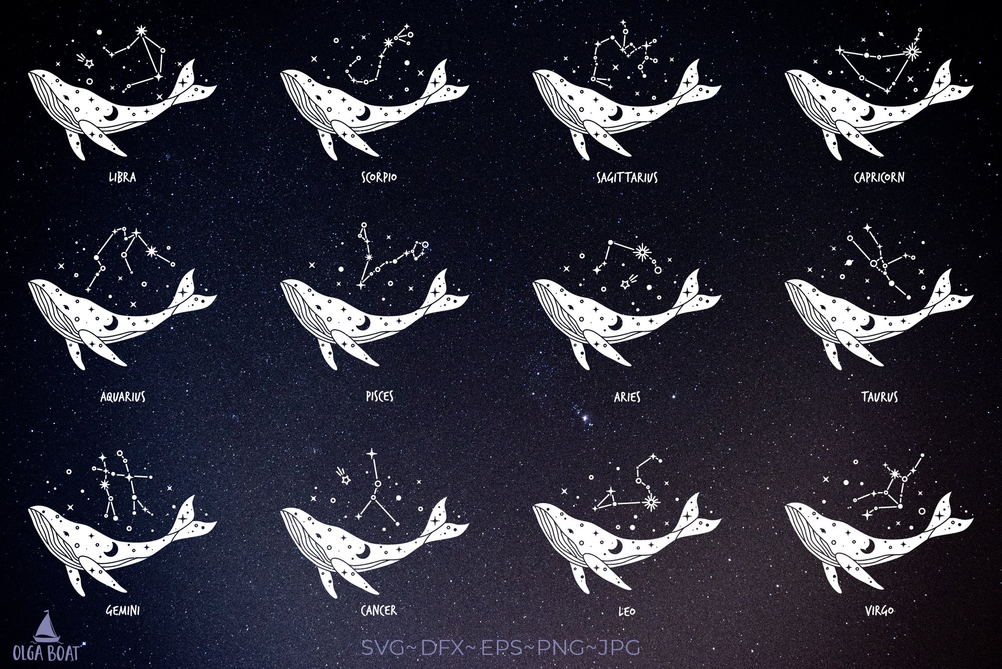 Whale zodiac sign 60 photos - Astrologytoyou.com
