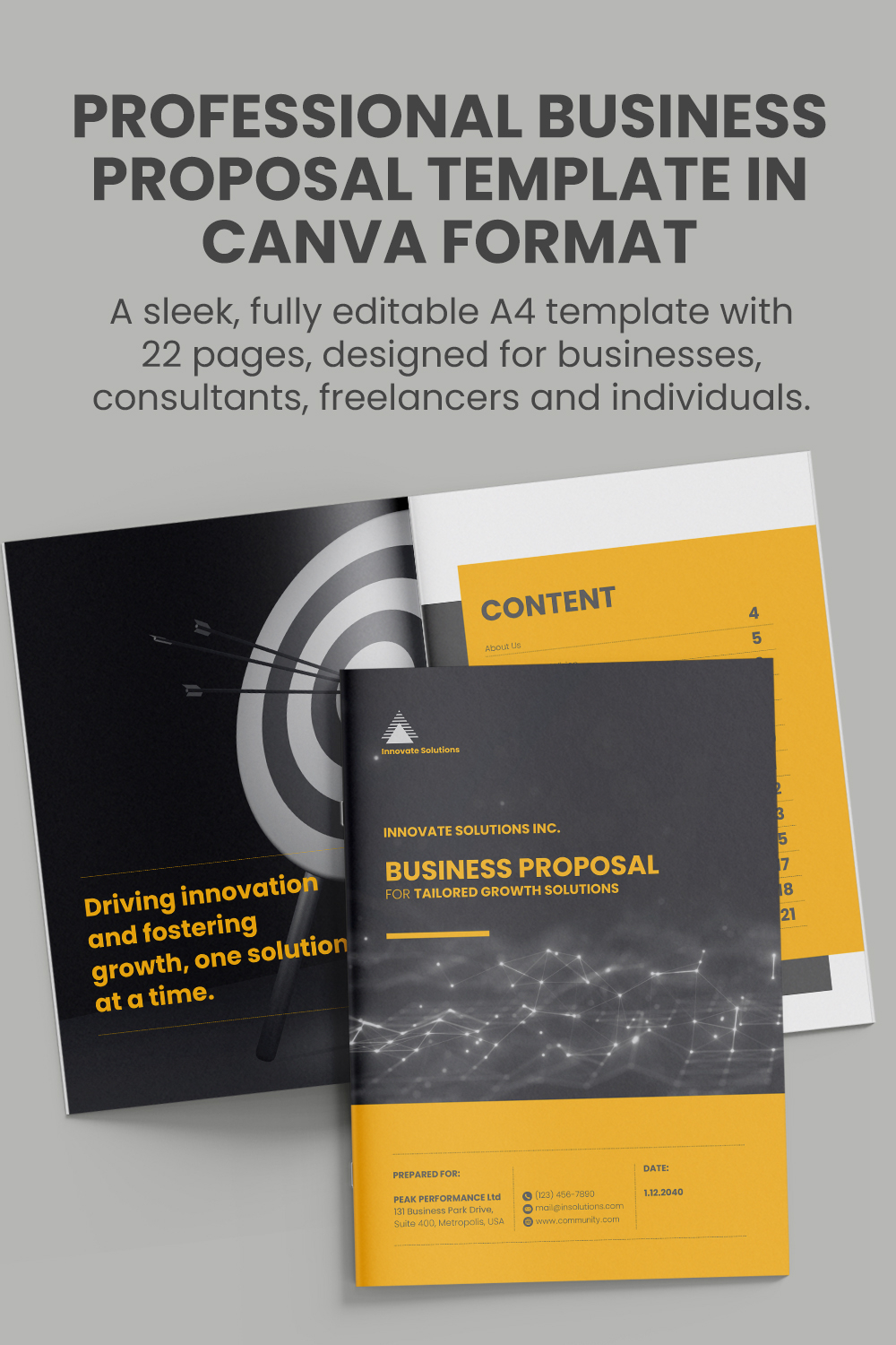 Professional Business Proposal Template in Canva Format