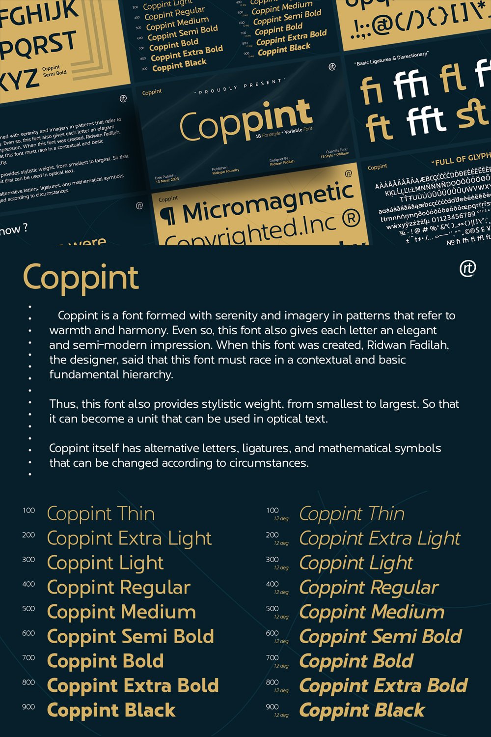 Coppint Font Family - Modern Sans Serif Classy font