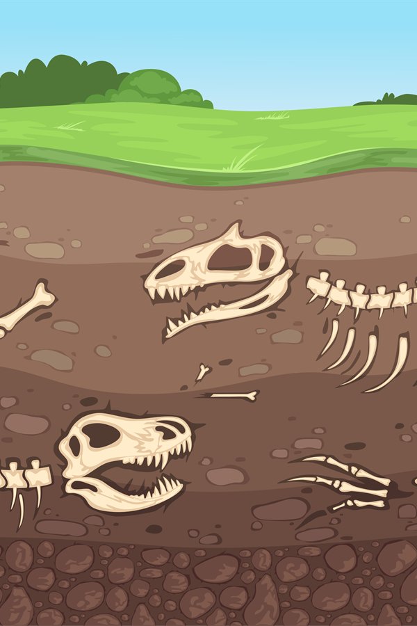 Archeology bones. Underground dinosaur bones soil layers bur