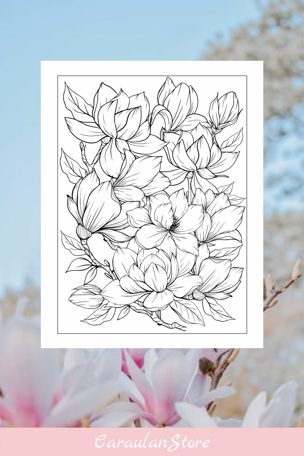 Floral Coloring Book Page, Magnolia Coloring Page, JPG, PDF