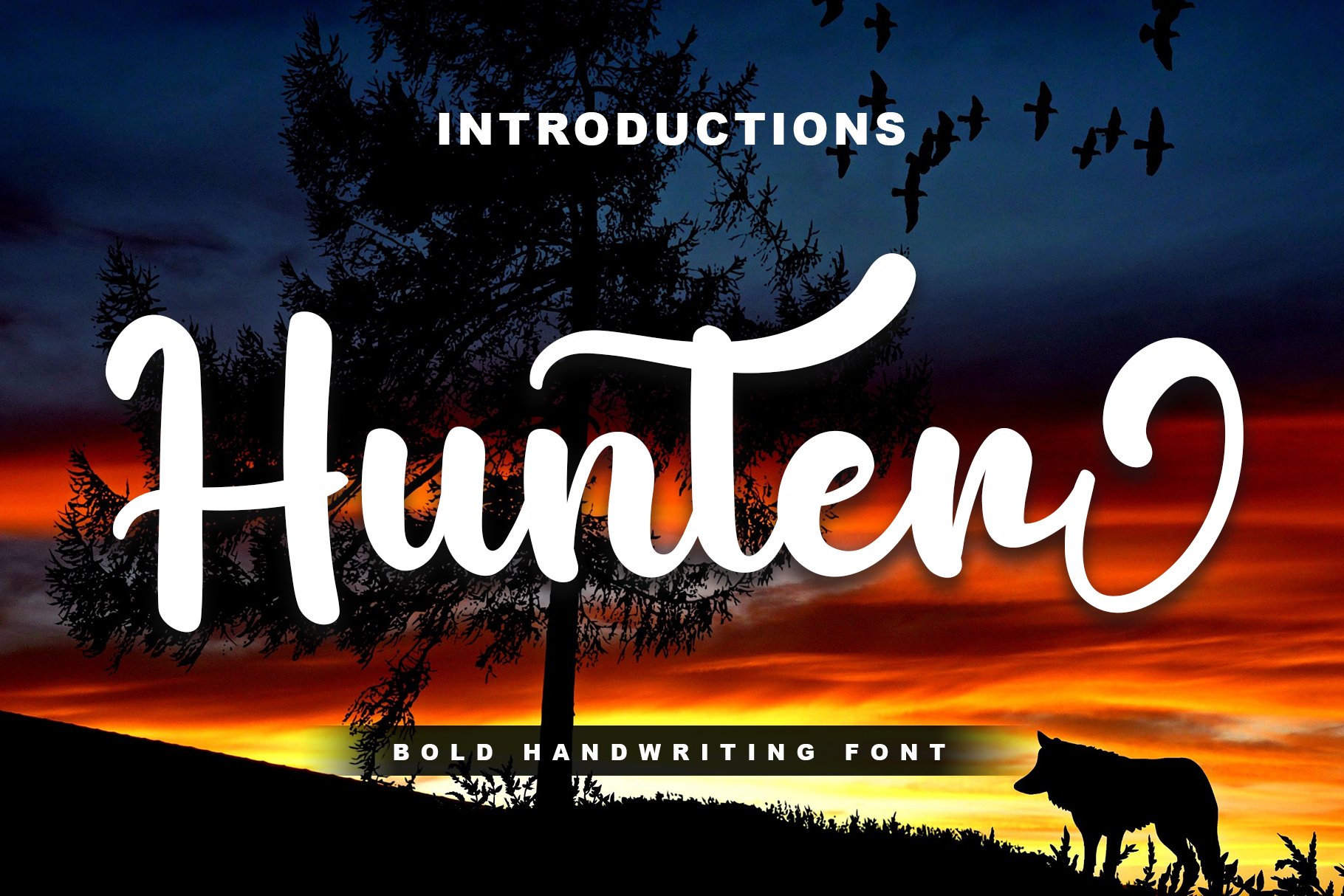 Script Handwriting Font