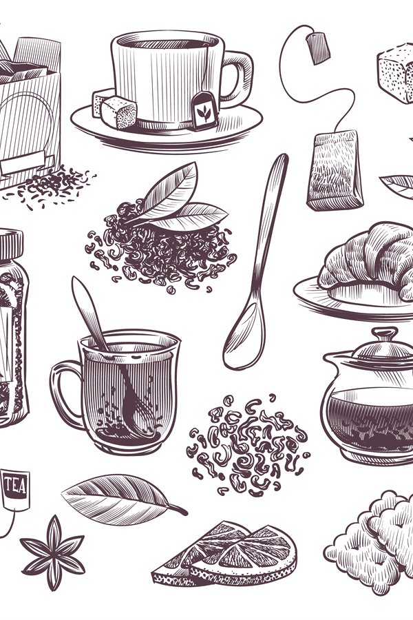 Sketch tea. Hand drawn tea leaves, mugs and kettle. Dried he